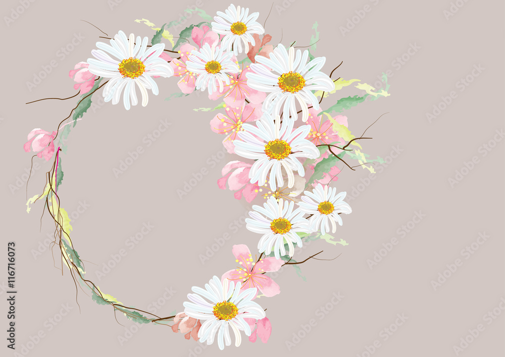 Colorful Daisy Border