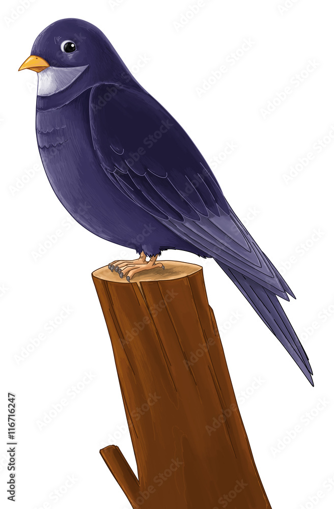 Cartoon bird cuckoo - on the branch - isolated - illustration for ...