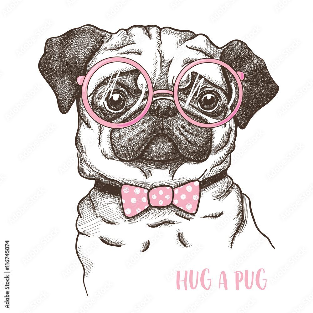 Vector illustration of a hand drawn funny fashionable pug vector de ...