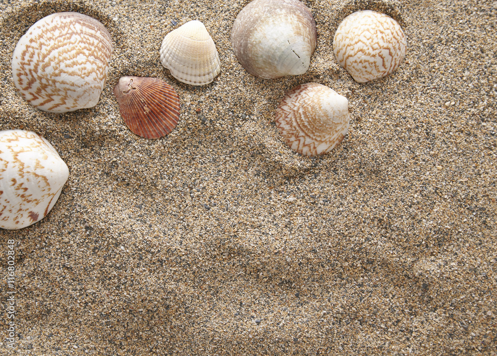 Foto de A full page of beach sand texture with shells arranged to form ...