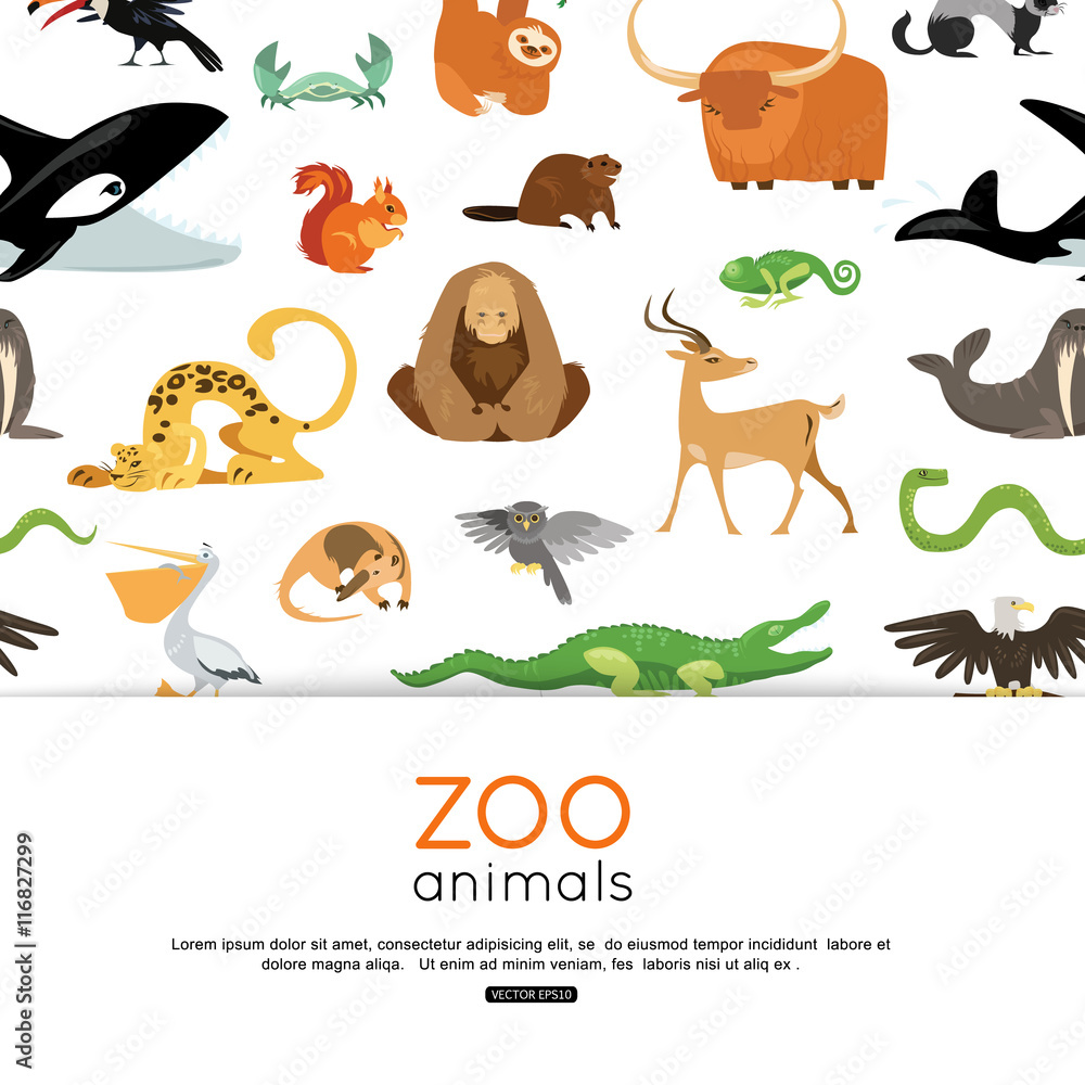 Zoo File Format