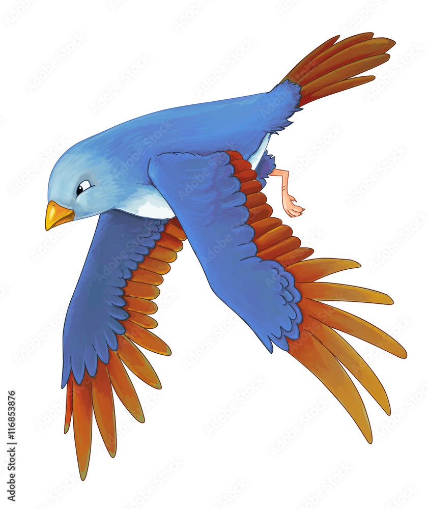 Cartoon exotic colorful bird - flying - isolated - illustration for ...