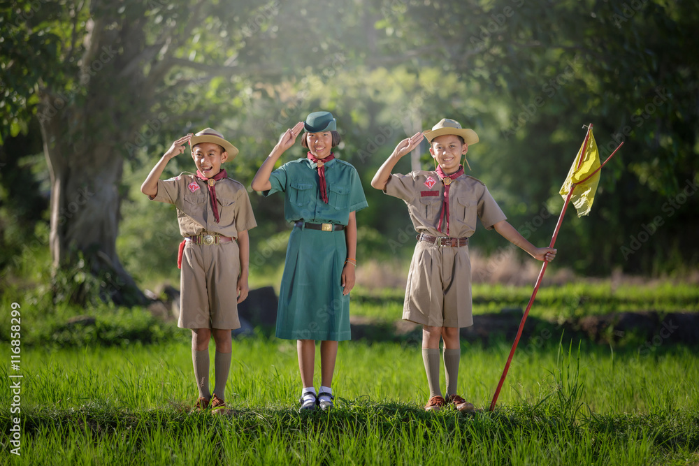 Scout salute Stock Photo | Adobe Stock