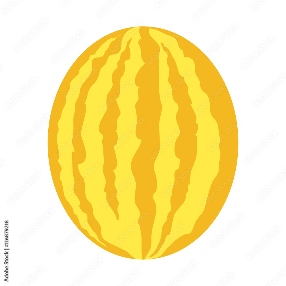 Melon Vector Illustration In Flat Style Design. Stock Vector | Adobe Stock
