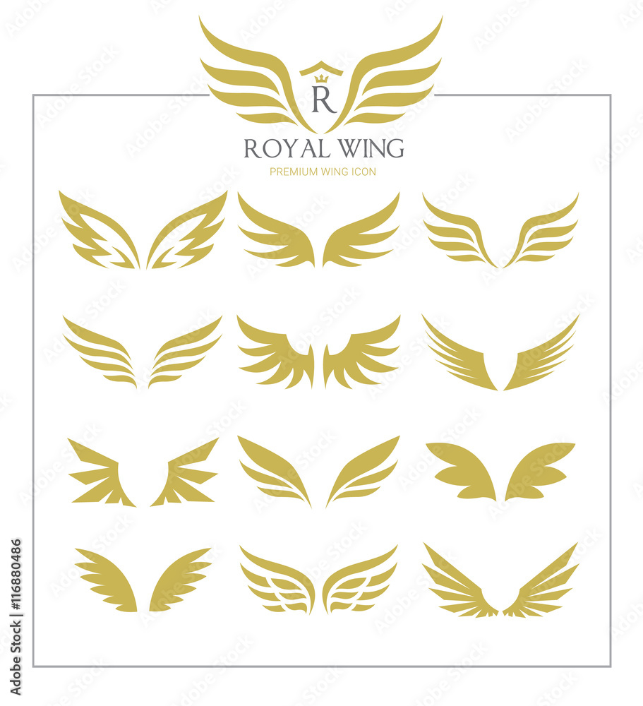 Wings. Vector Set of wing design elements. Vector illustration. Design ...