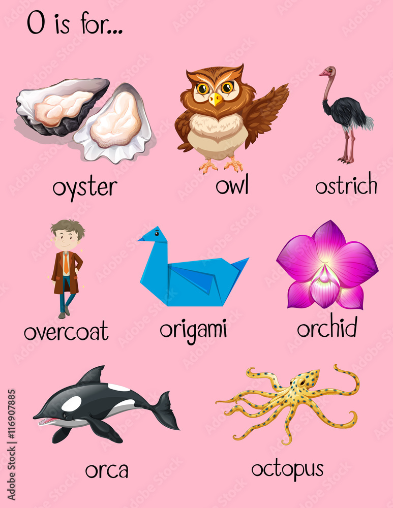 Many words for letter O Stock Vector | Adobe Stock