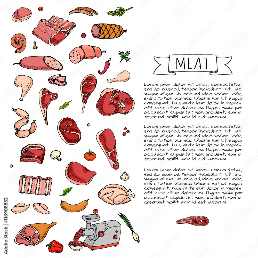 Hand drawn doodle set of cartoon different kind of meat and poultry ...