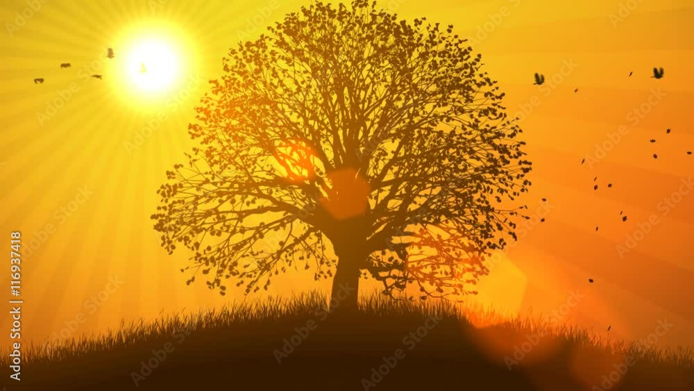 Loopable animation of a landscape showing the four seasons. Check my ...