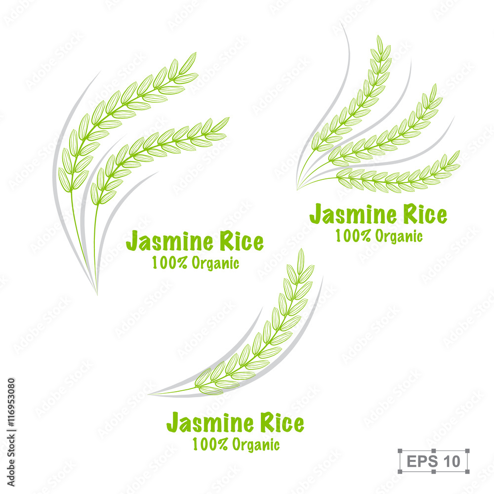 Rice set. Hand drawn vector illustration Stock Vector | Adobe Stock