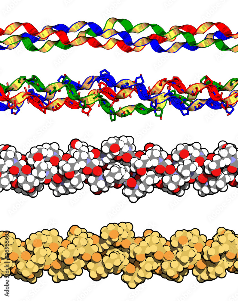 Collagen model protein, chemical structure. Stock Illustration | Adobe ... Collagen model protein, chemical structure. Stock Illustration | Adobe ...