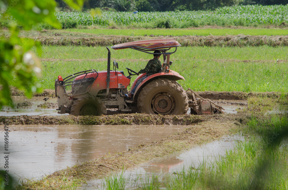There is tractor preparing area for rice planting . Stock Photo | Adobe ...