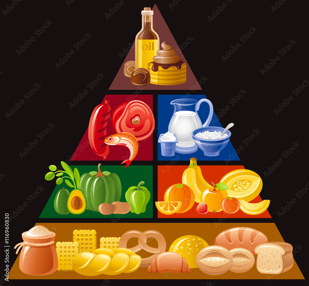Vector illustration of food guide pyramid infographics with four levels ...
