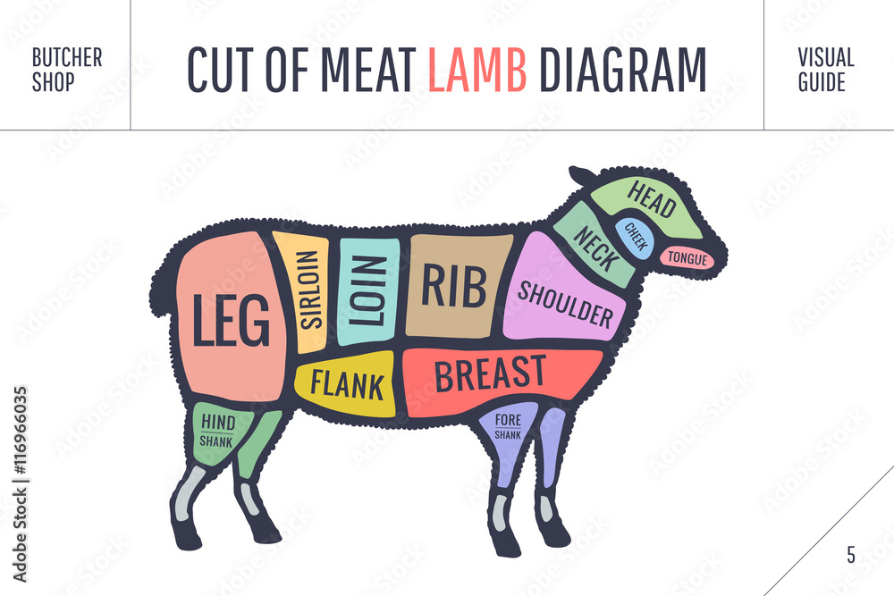 Lamb Meat Cuts Diagram