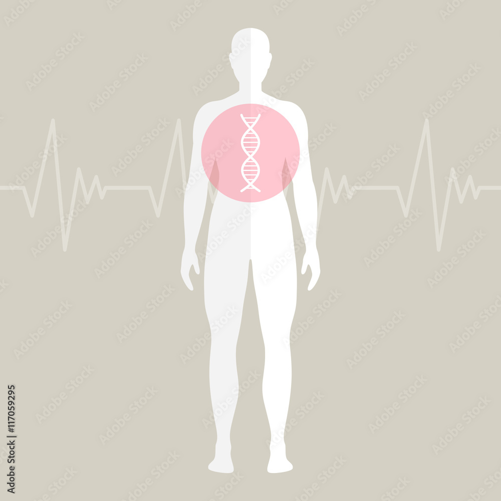 Vector Illustration of Human DNA Stock Vector | Adobe Stock