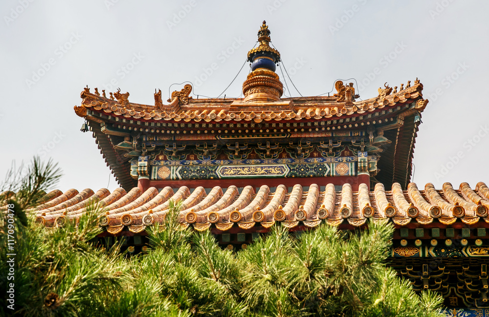 Fotografia do Stock: Traditional Chinese architectural roof, with ...