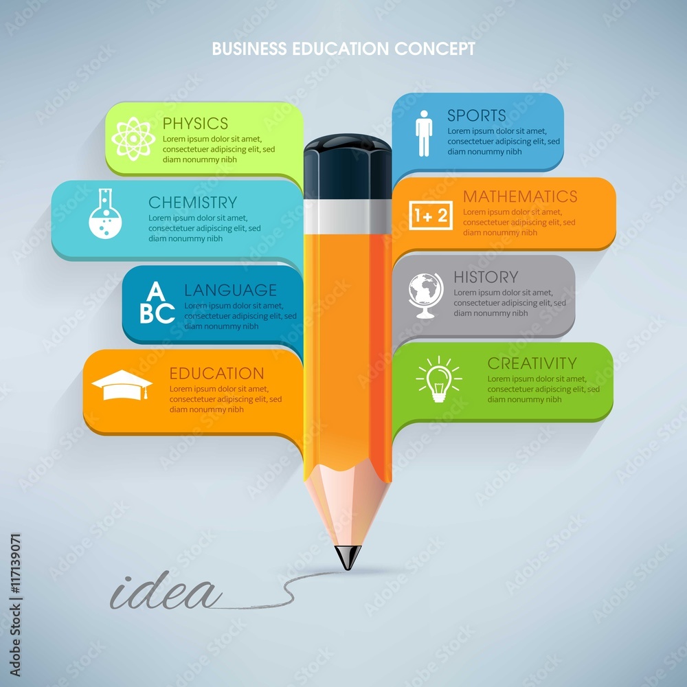 Business education infographic Stock Vector | Adobe Stock
