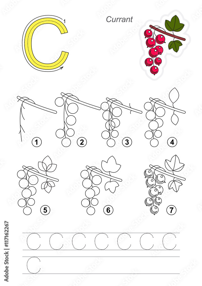 Drawing tutorial. Game for letter C. The Red Currant. Stock Vector ...