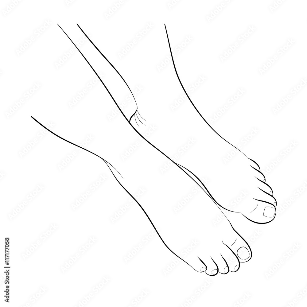 Foot Front View Drawing