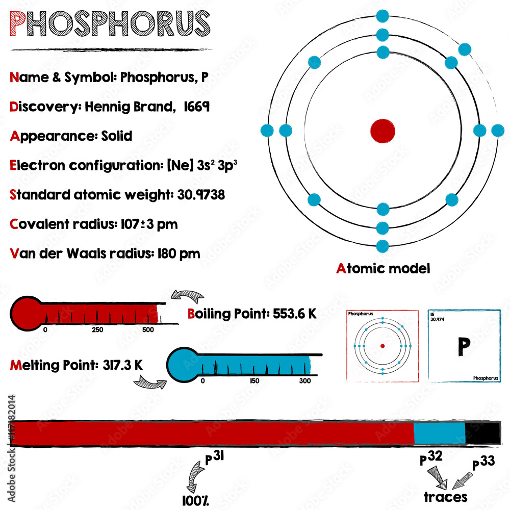 Phosphorus Element Model