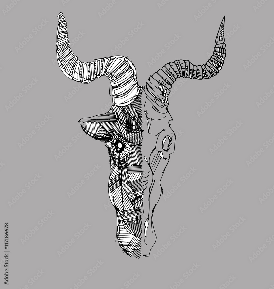 the half goat animal with wool and half only skeleton hand drawn black ...