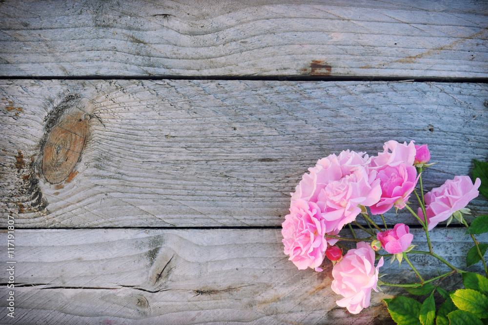 Pink fresh roses flowers on rustic wooden background, place for text ...