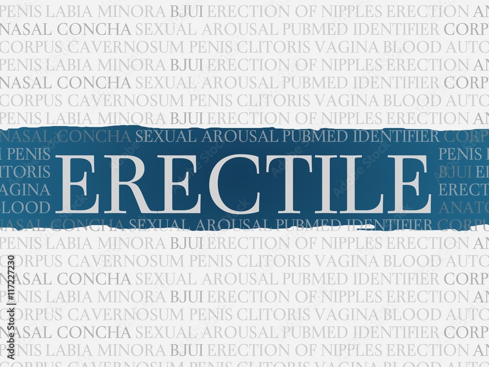 erectile Stock Illustration | Adobe Stock