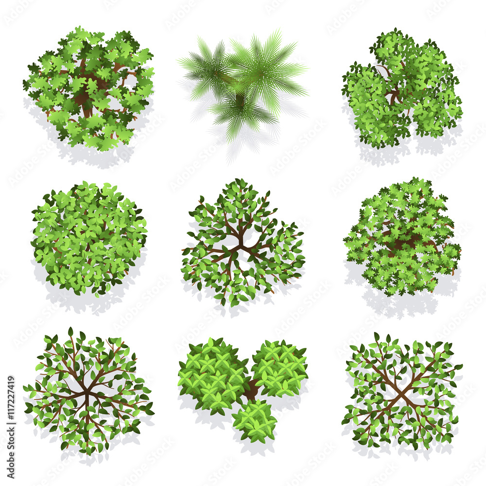 Trees top view vector set for landscape design and map Stock Vector ...