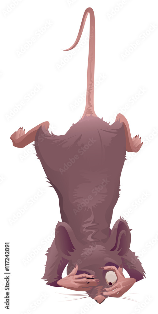 Vetor de Mouse hangs on tail and looks down in horror do Stock | Adobe ...