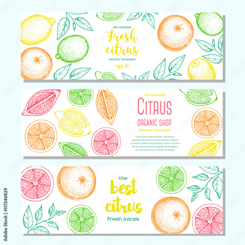 Citrus horizontal banner collection. Lemons and orange hand drawn in ...
