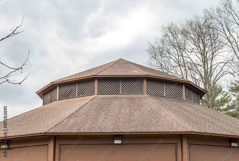 Angled dome roof. Roof triangle design. Architectural roof details ...