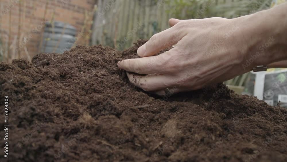 Adult Male Holding And Sieving Through Fresh Compost In Spring Stock ...