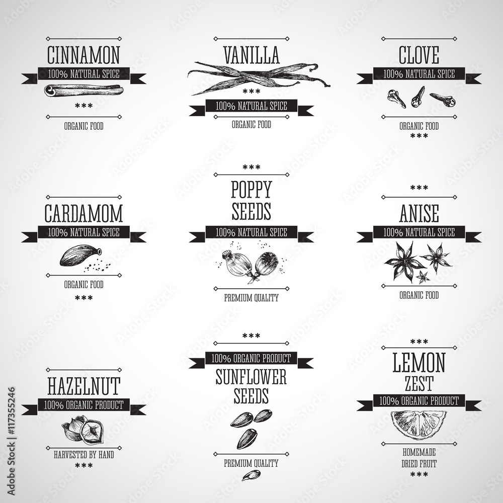 Spice neat hand drawn monochrome label set flavour modern design. Set ...