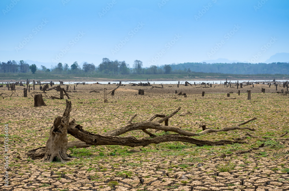 Global warming, Drought. Stock Photo | Adobe Stock