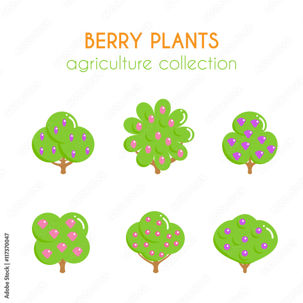 Cartoon Berry Bush