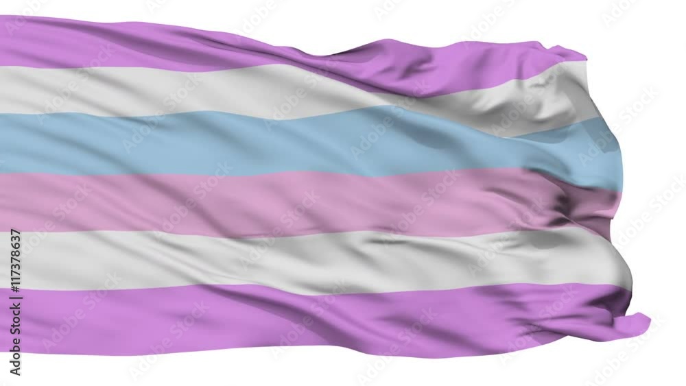 Bigender Pride Flag Close Up Realistic 3d Animation Seamless Loop