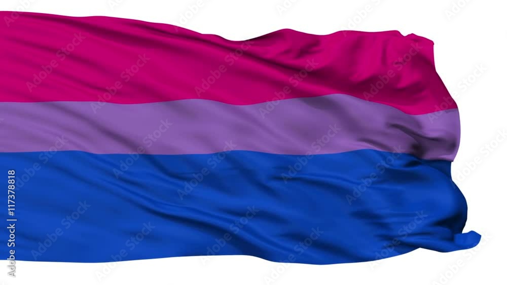 Vidéo Stock Bi Sexual Flag, Close Up Realistic 3D Animation, Seamless ...