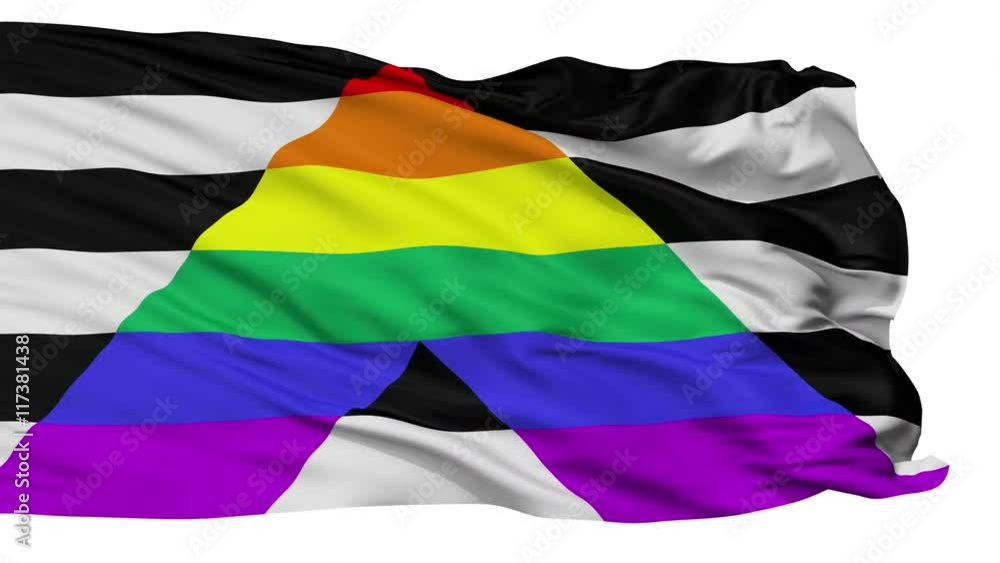 Straight Ally Flag, Close Up Realistic 3D Animation, Seamless Loop - 10 ...