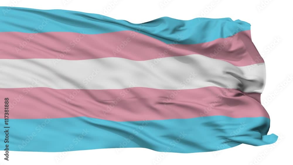 Transgender Pride Flag, Close Up Realistic 3D Animation, Seamless Loop ...