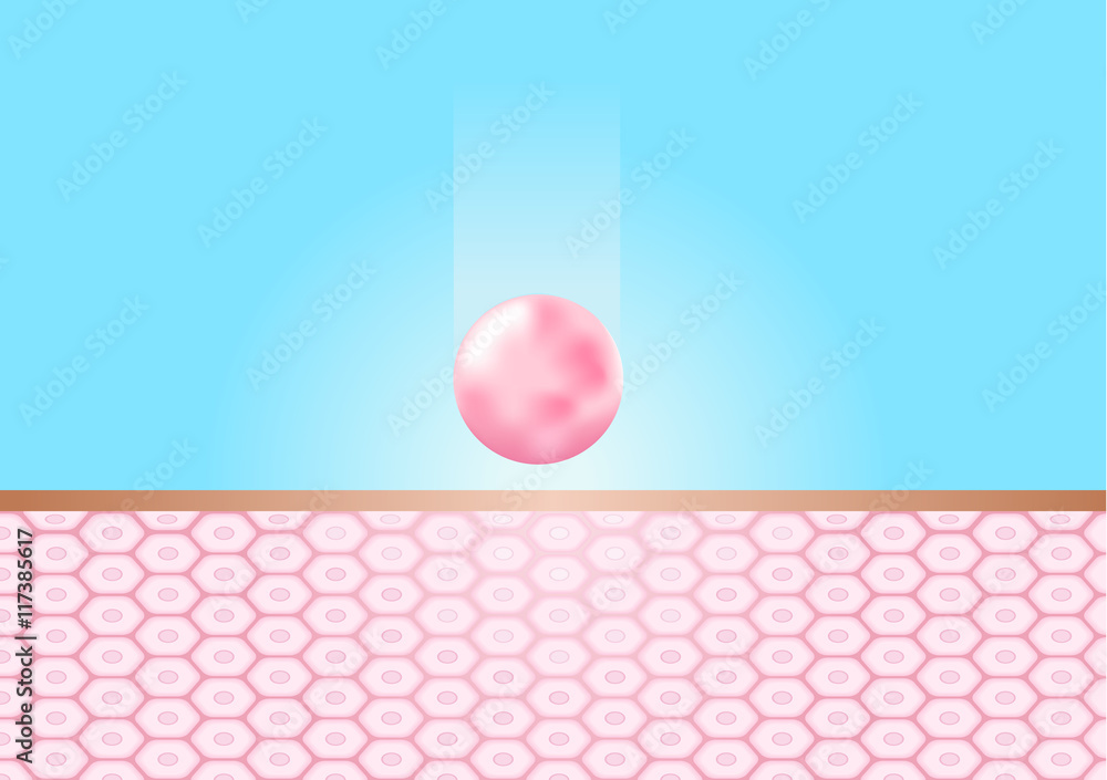 collagen on skin , collagen make skin smooth and white . vector graphic ...