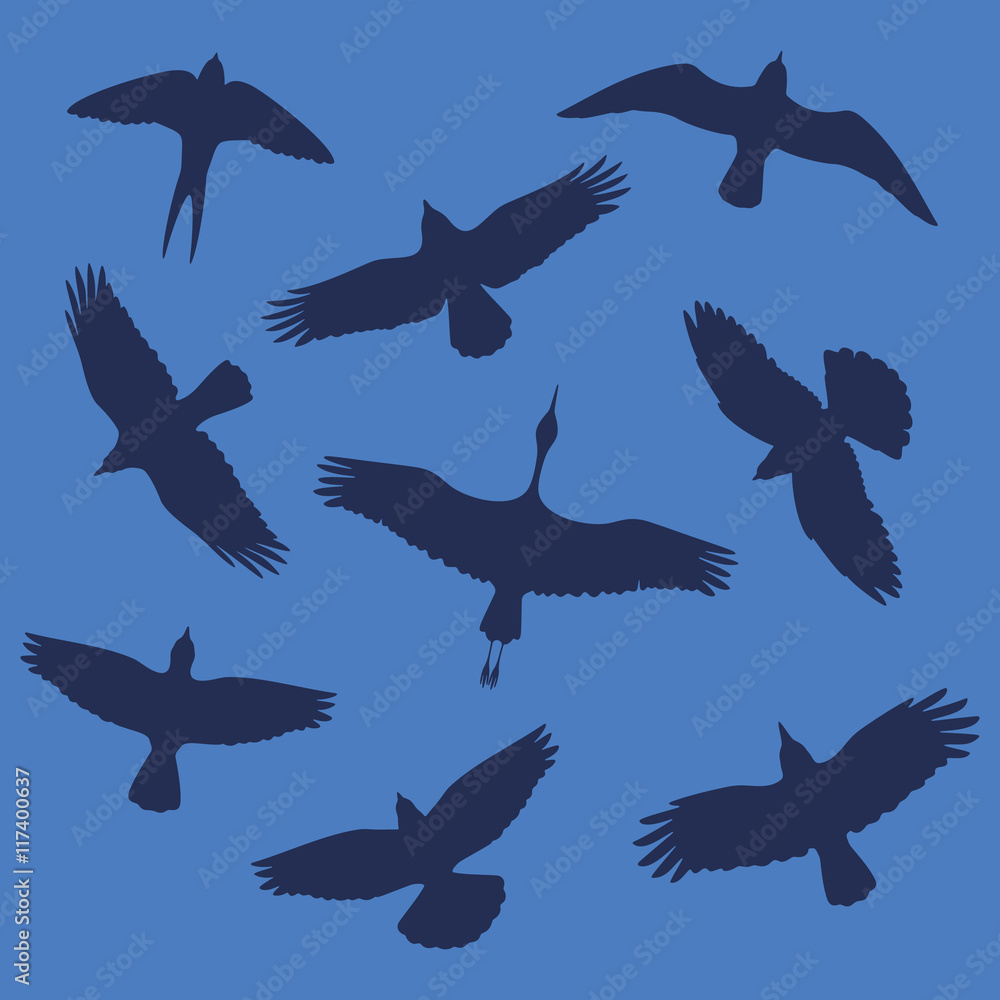 Flying Birds Flat Vector Illustration Stock Vector | Adobe Stock