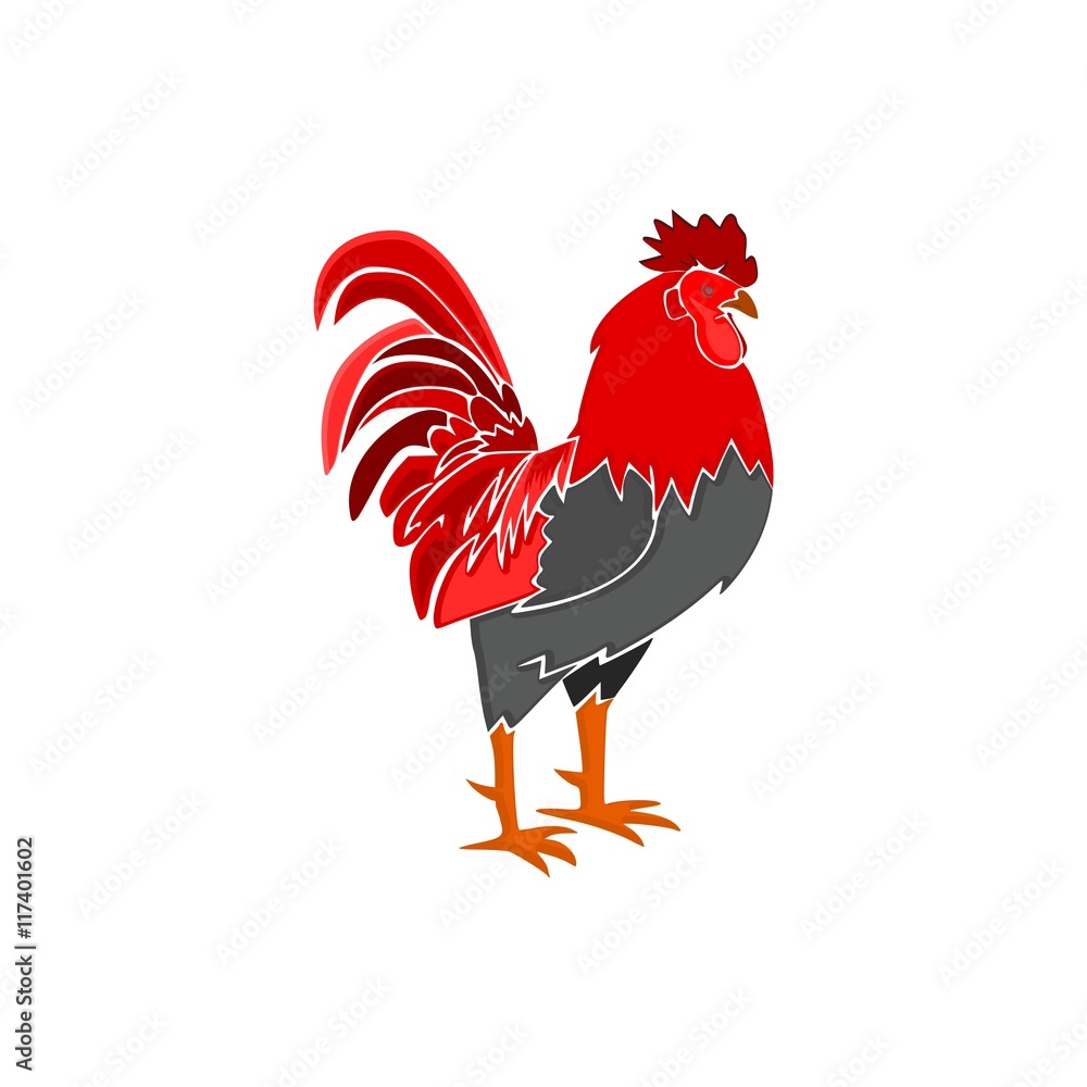 Rooster Vector Illustration in Color Stock Vector | Adobe Stock