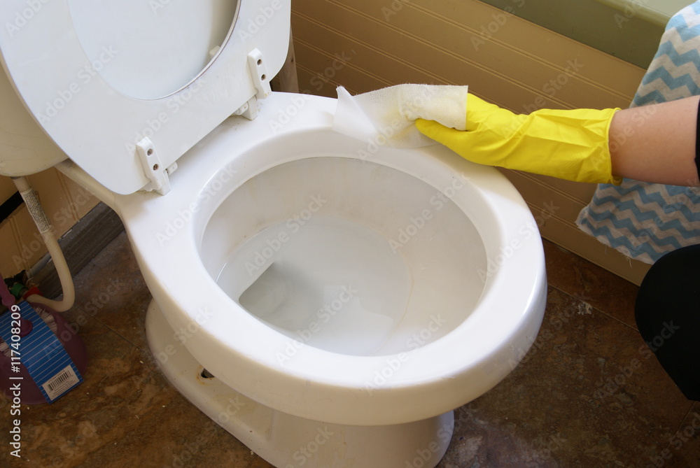 Cleaning the toilet seat. Wiping the edge of the toilet. Stock Photo ...