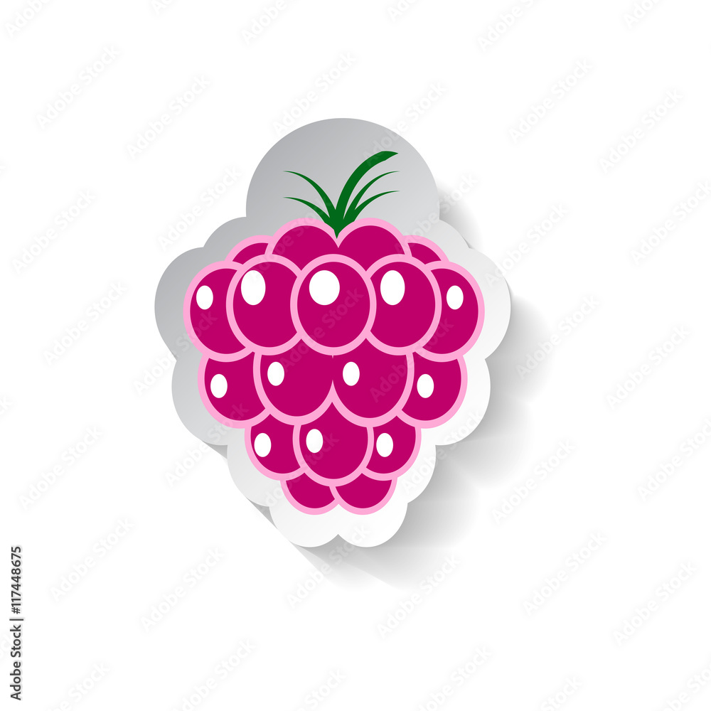 Raspberry vector illustration isolated on white background. Stock ...