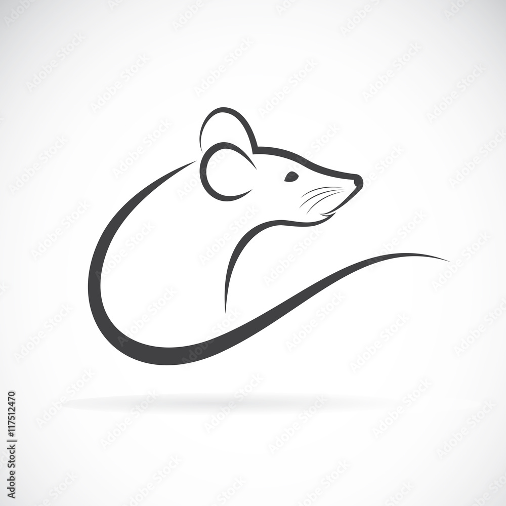 Vector of a rat design on a white background. Animals. Stock Vector ...