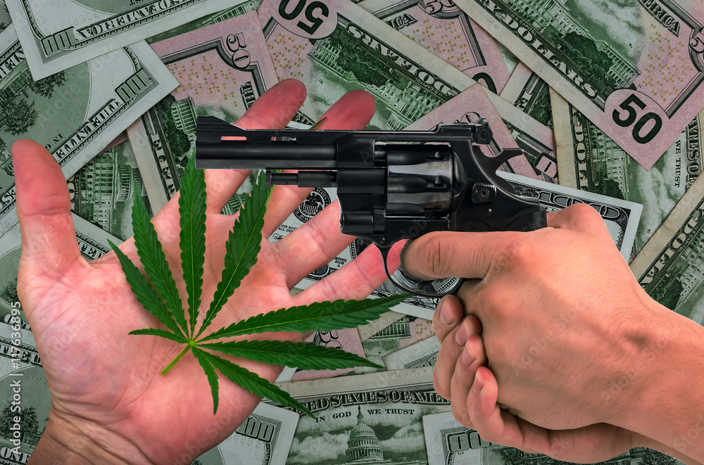 marijuana, gun in his hands on the dollars background Stock 写真 | Adobe ...
