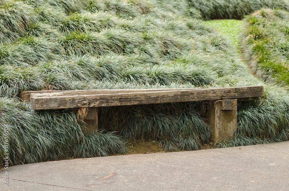 Long wood bench on grasses field at national park in northern of ...