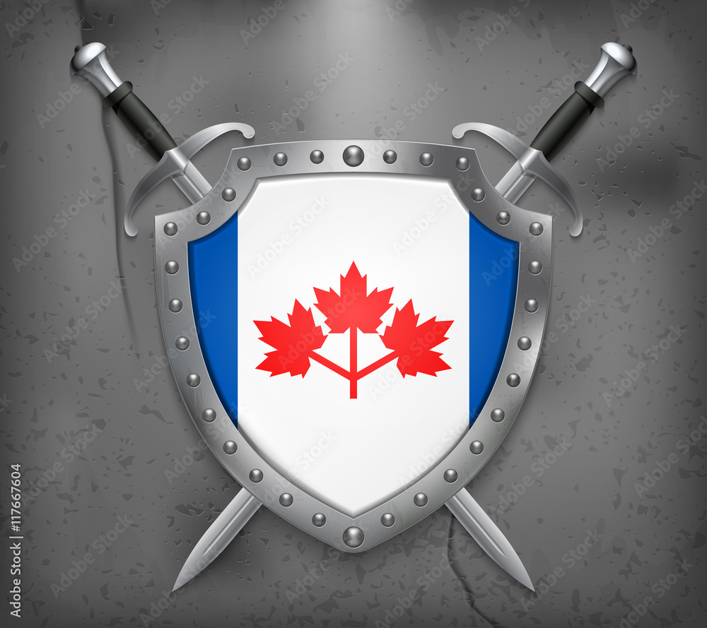 The Canadian Pearson Pennant. The Shield Has Flag Illustration. Stock ...