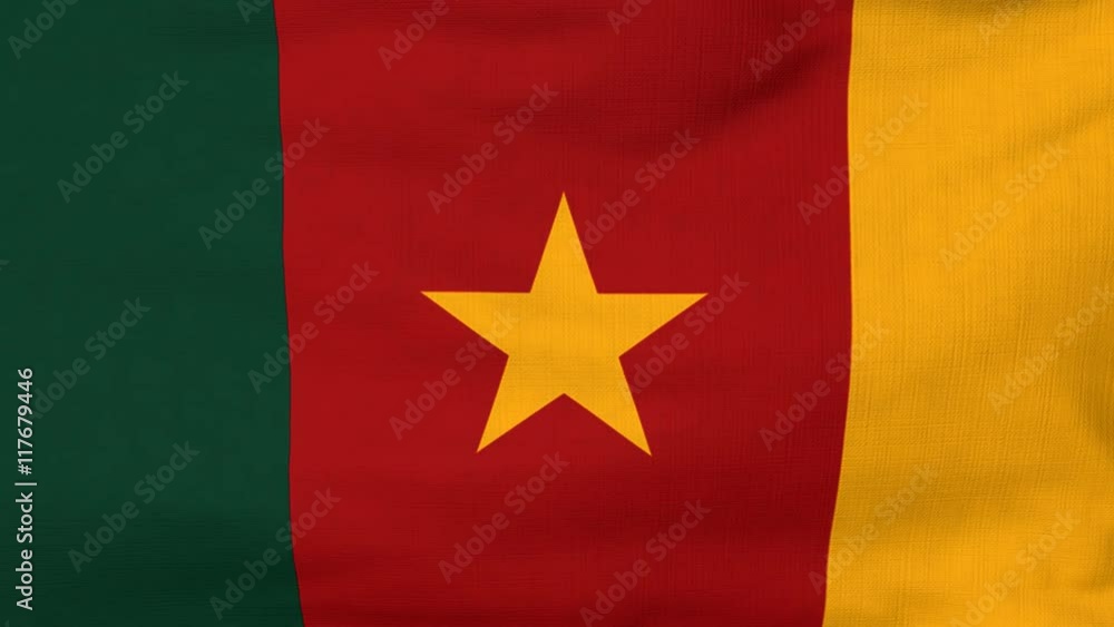 Vídeo do Stock: National flag of Cameroon flying and waving on the wind ...