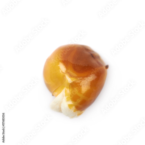 One Popcorn Kernel