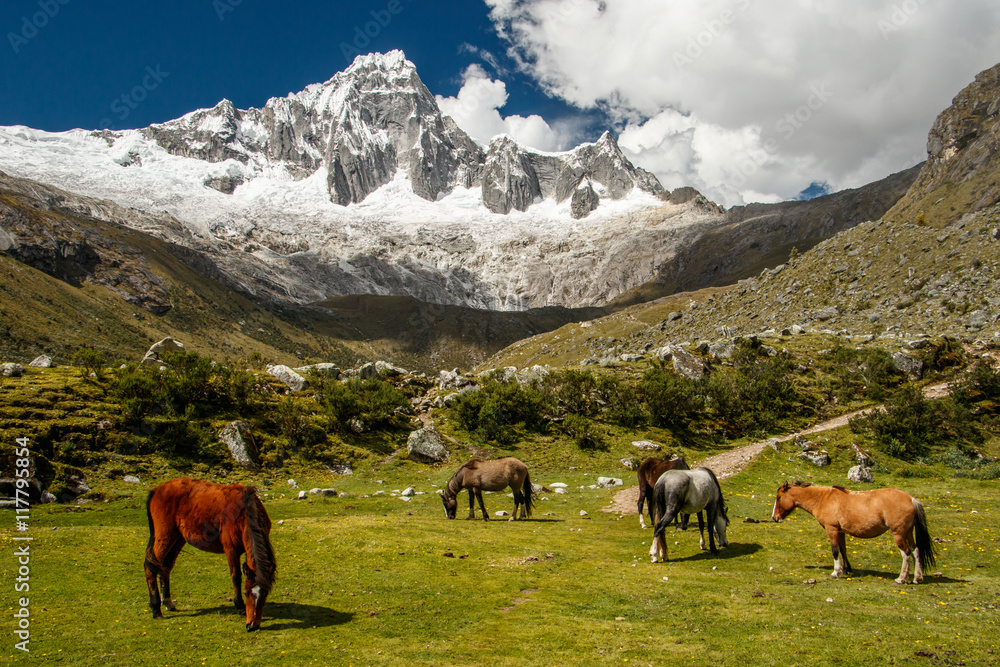 Santa Cruz trek in Cordillera Blanca in Peru - one of the most ...